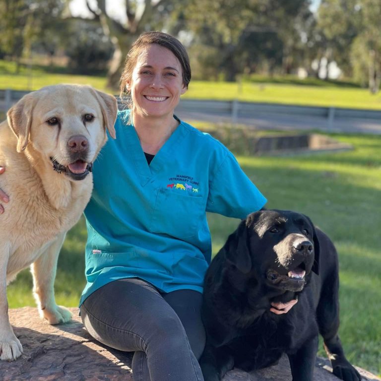 Dr Kasee Muir (BSc, BVs) - Mansfield Veterinary Clinic