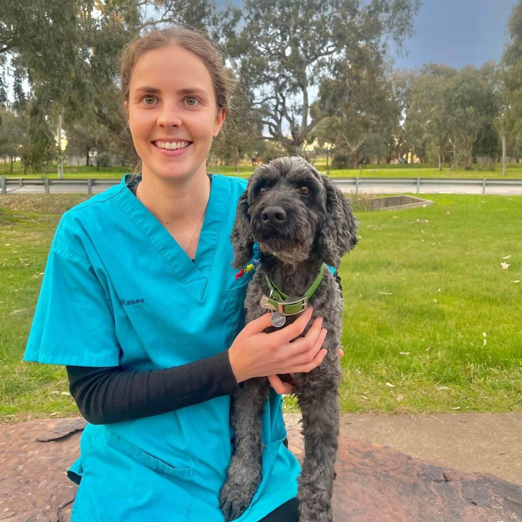 Dr Kasee Muir (BSc, BVs) - Mansfield Veterinary Clinic